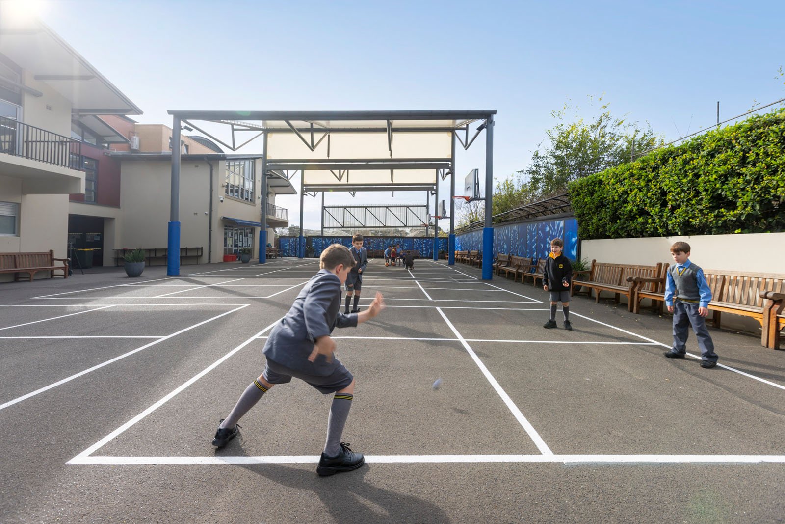 Sydney Grammar School - Edgecliff, NSW | Greenline