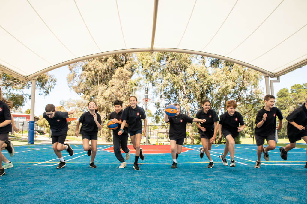Netball & Basketball Court Shade Structures | Greenline
