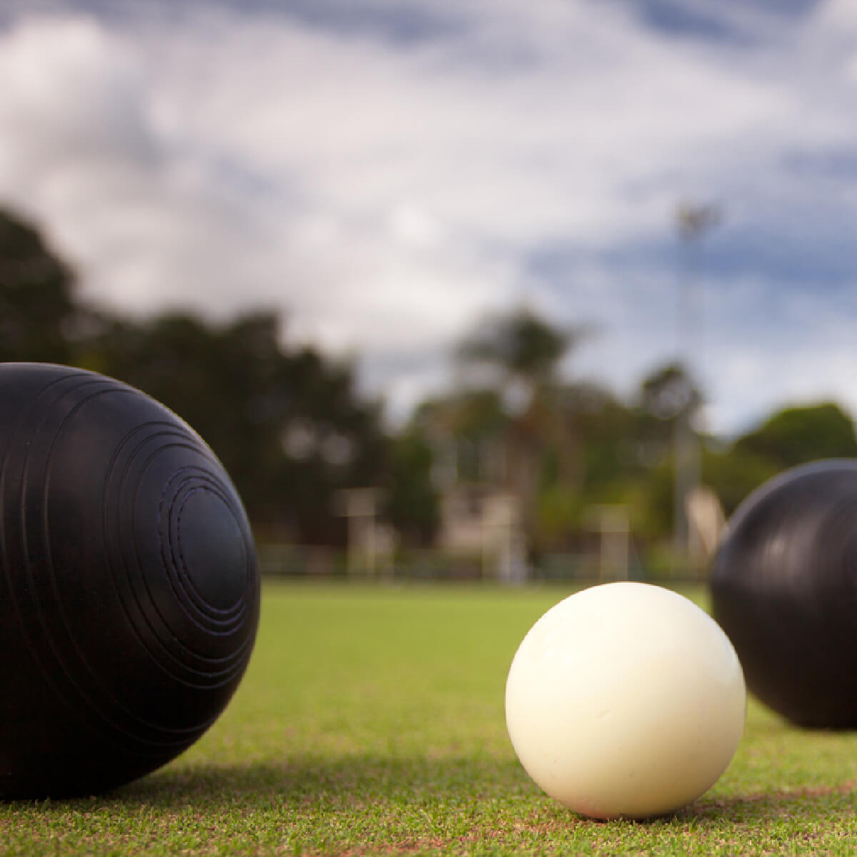 Bowling Green Canopies | Enhancing Play Experience with Greenline